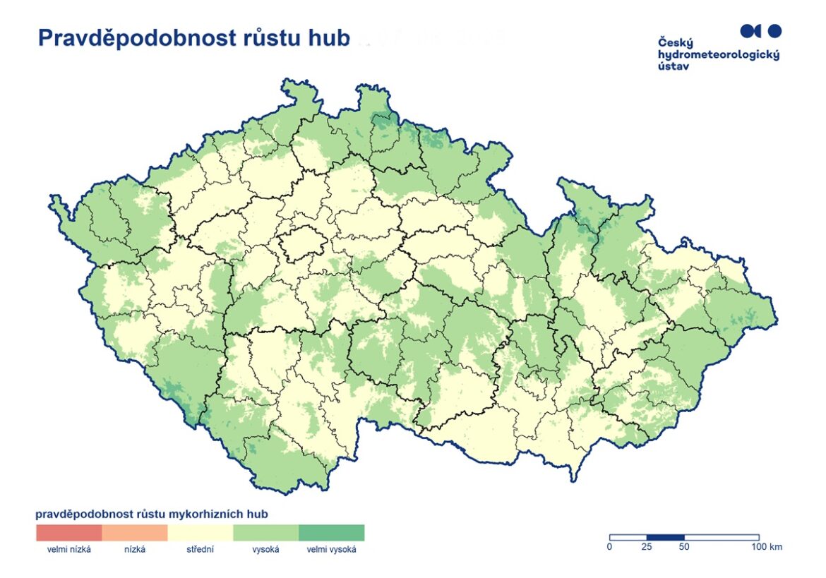 Houby rostou tady: Aktuální mapa jejich výskytu zaručí plné košíky